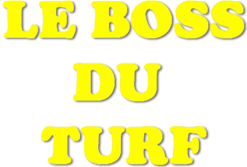 LE BOSS DU TURF: Pronostics Exclusifs et Abonnements VIP pour Gagner Plus